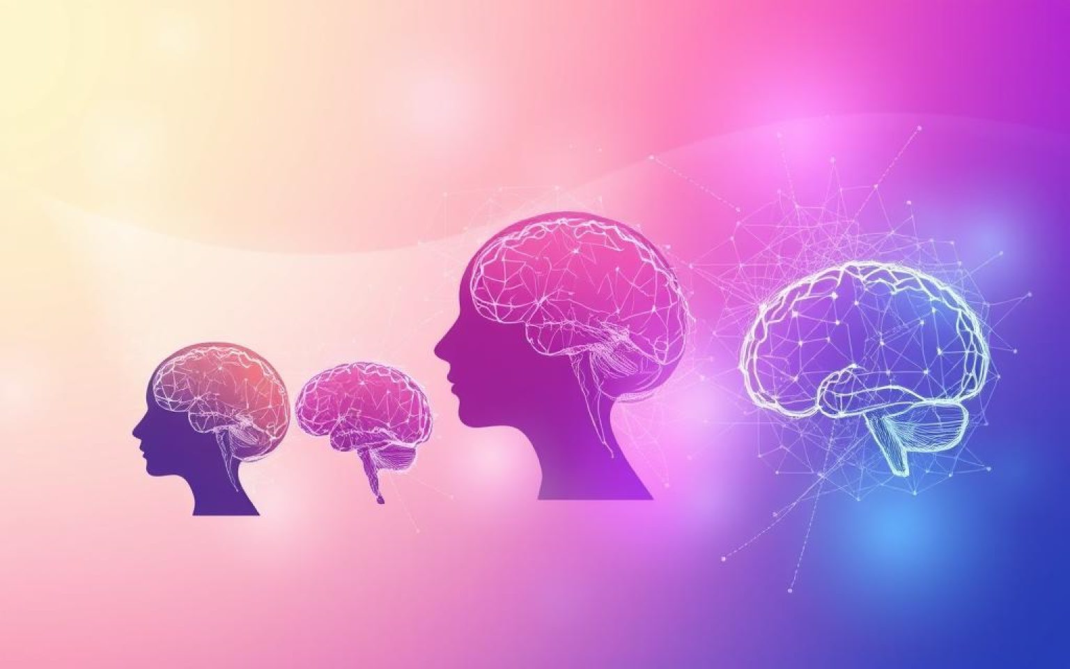 When Does Brain Stop Developing: 9 Stages Of Brain Growth